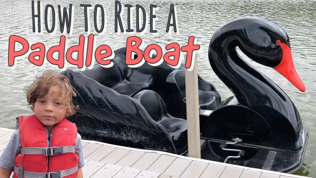 How to Ride A Paddle Boat ⎮ Riding a Paddle boat on the Lake - YouTube