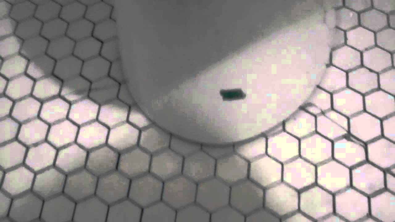 4174: Different 2010 Glacier Bay Flapperless Toilet - YouTube