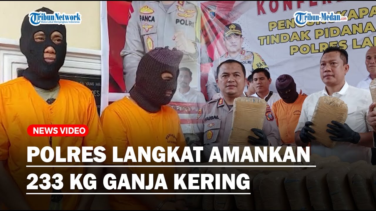 POLRES Langkat Amankan 233 Kg Ganja Kering Milik Warga Aceh Tenggara ...
