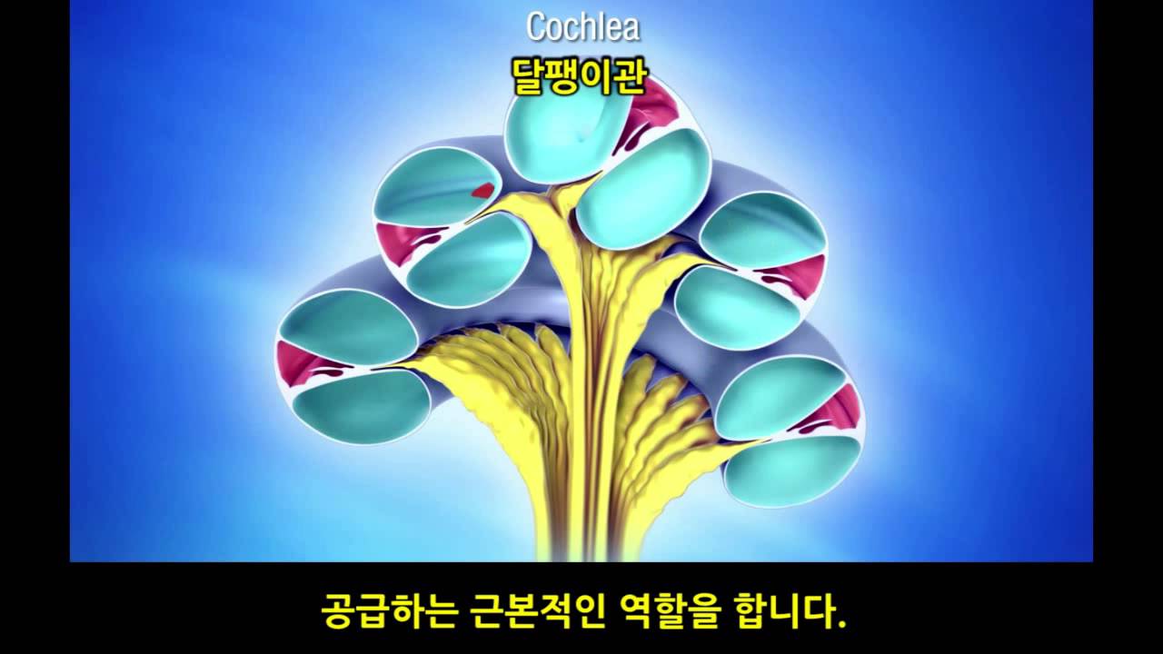 Listening Training TOMATIS® METHOD 원리 소개 - YouTube