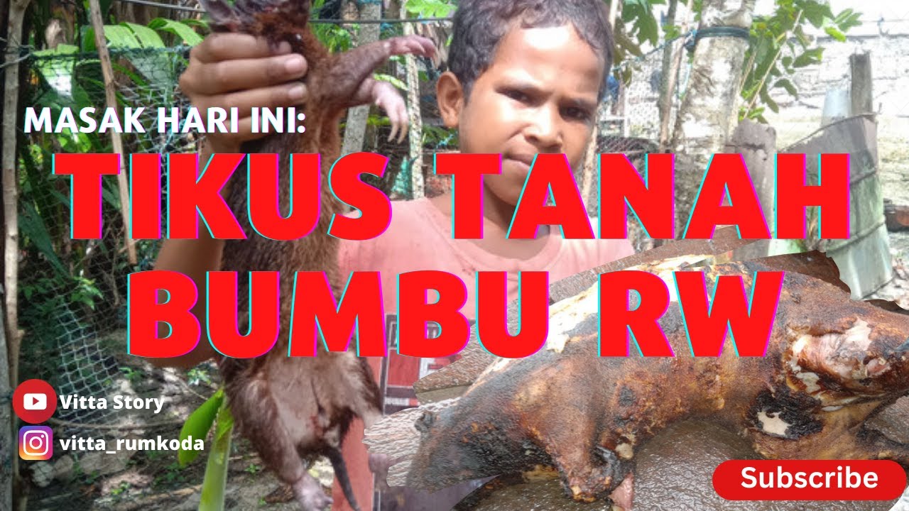 SUKA MAKAN TIKUS! MEMANGNYA BISA? YUK KITA LIHAT JENIS TIKUS APASIH ...
