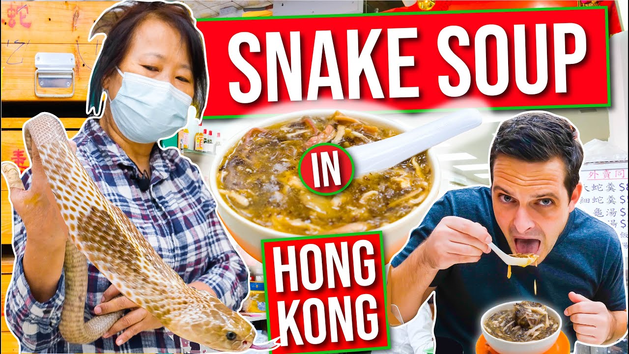 HONG KONG STREET FOOD | Eating Snake Soup with the Snake Queen of Hong ...