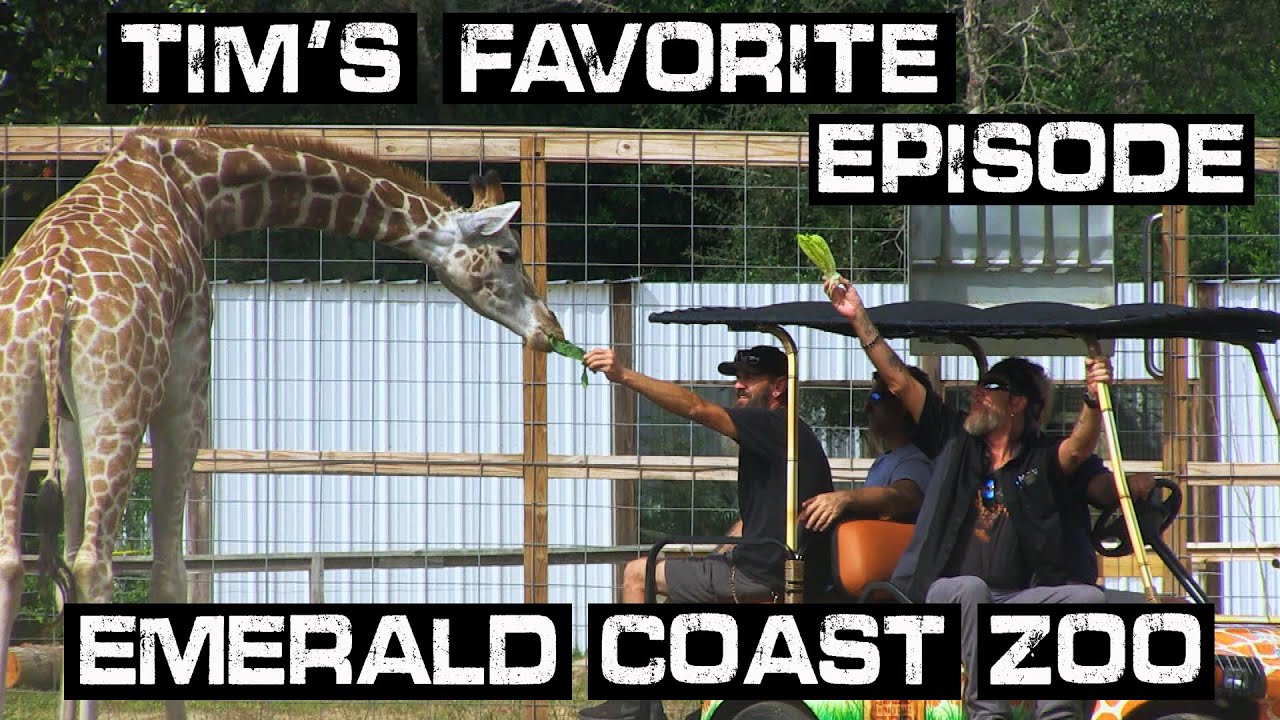 Tim's Favorite Episode - Emerald Coast Zoo - YouTube