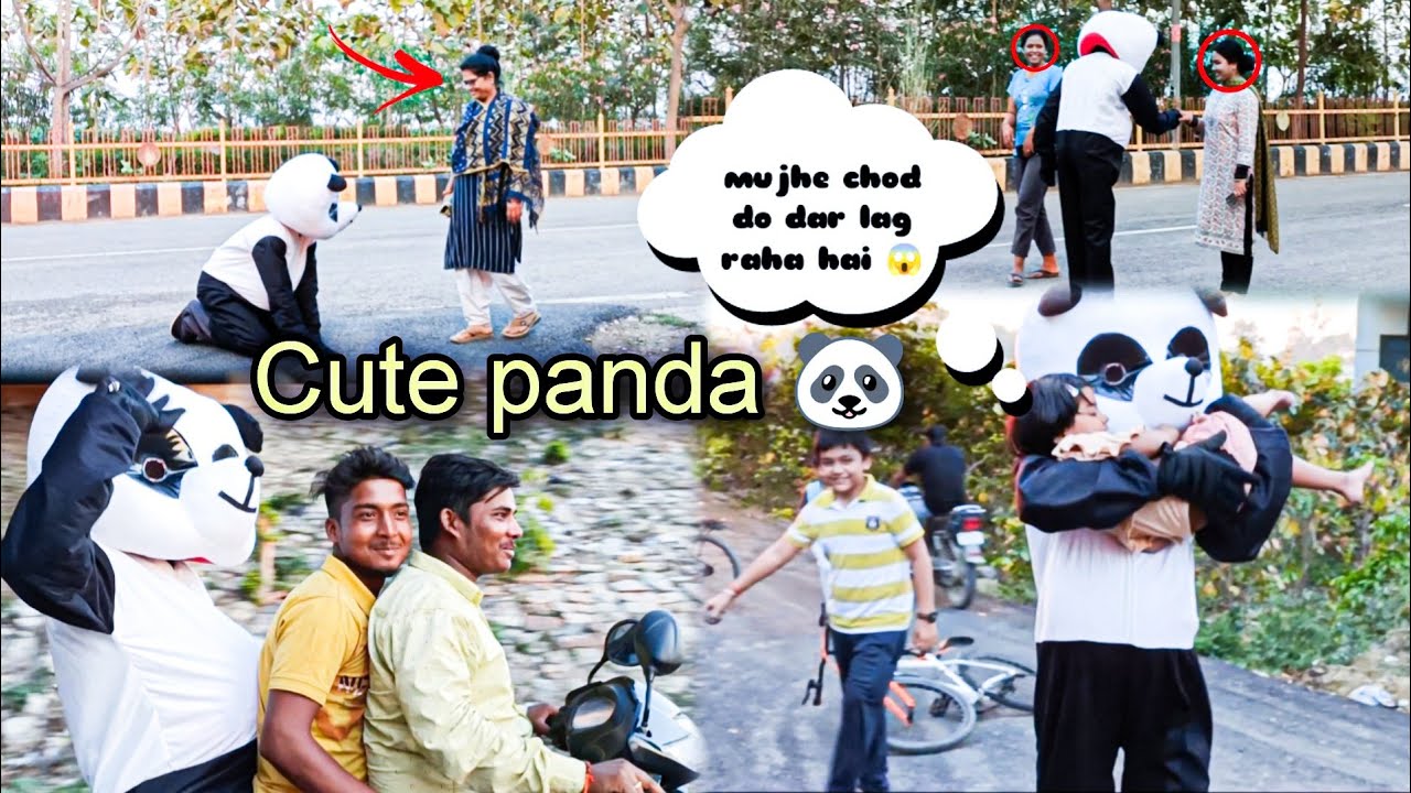Cute panda 🐼 Prank with public || Public Reaction || My first panda ...