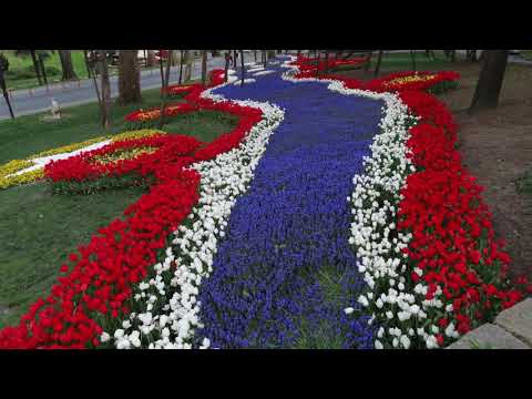 İSTANBUL LALE FESTİVALI GÜLHANE PARKI VE YILDIZ PARKI, ISTANBUL TULIP FESTIVAL