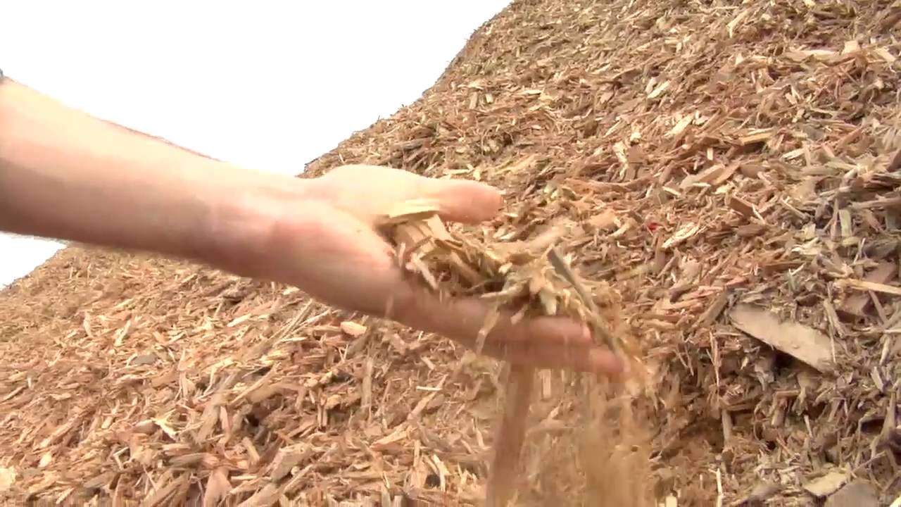 Introduction to Offsetters - YouTube