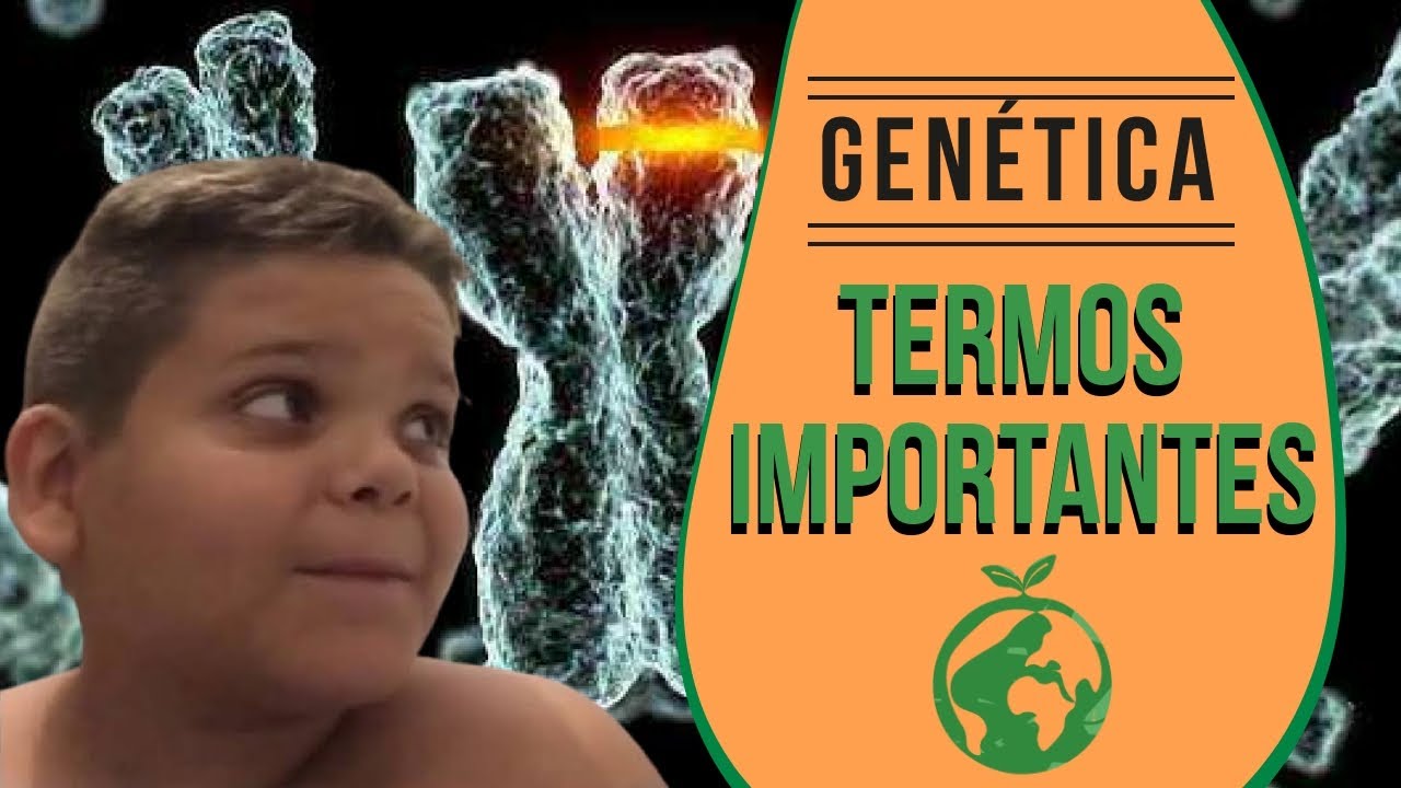 Introdução à Genética - gene, genótipo, fenótipo e outros TERMOS ...