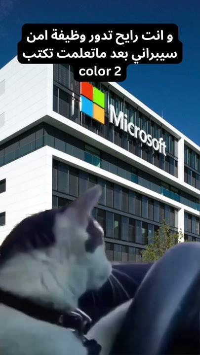 وانت تدور على وظيفة امن سيبراني بعد ماتعلمت تكتب😂😂😂color 2 - YouTube