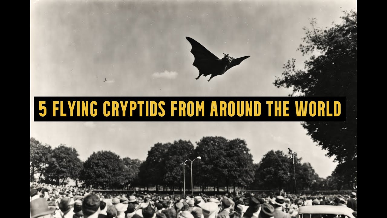 List of 5 Flying Cryptids from Around the World - YouTube
