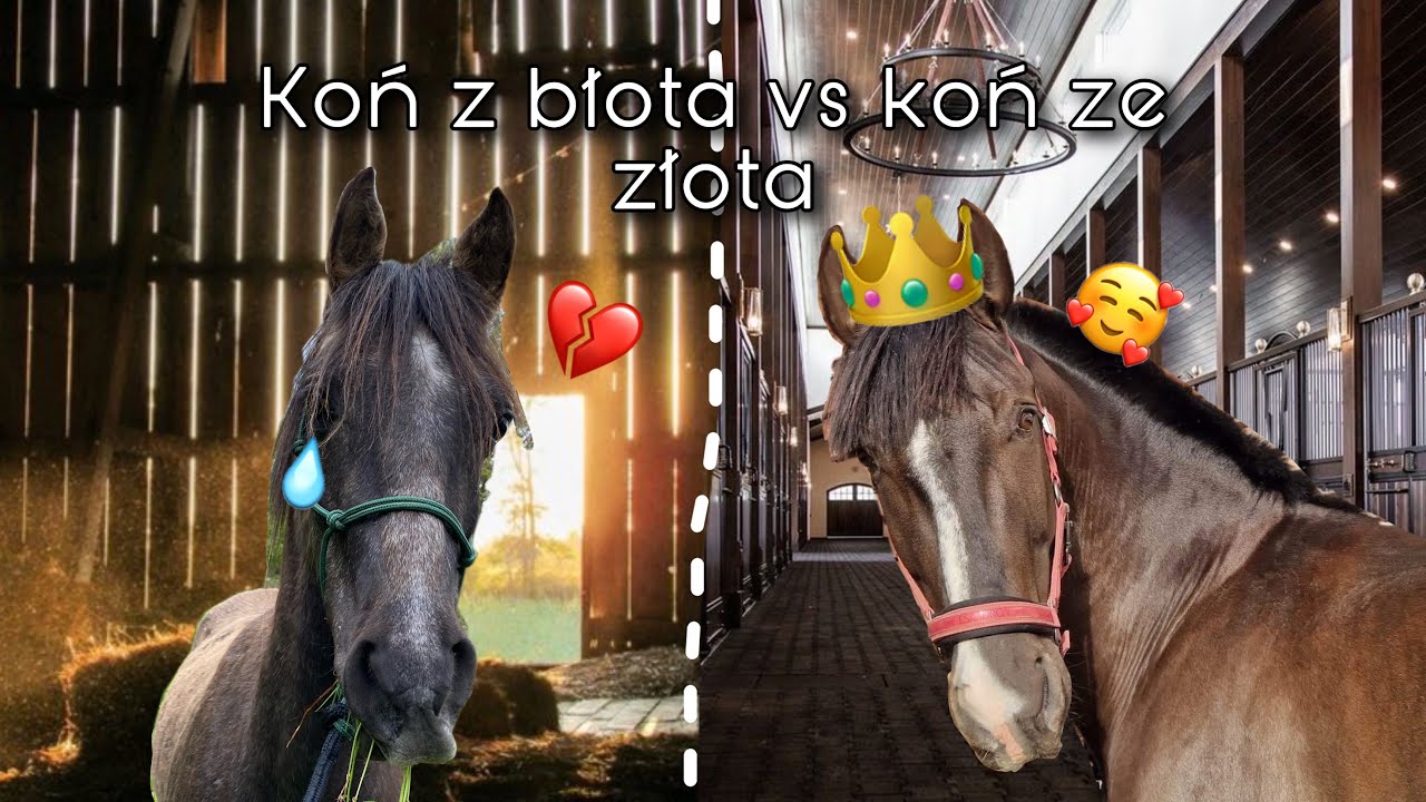Koń z błota vs koń ze złota - powrót bossow na jutuby! - YouTube