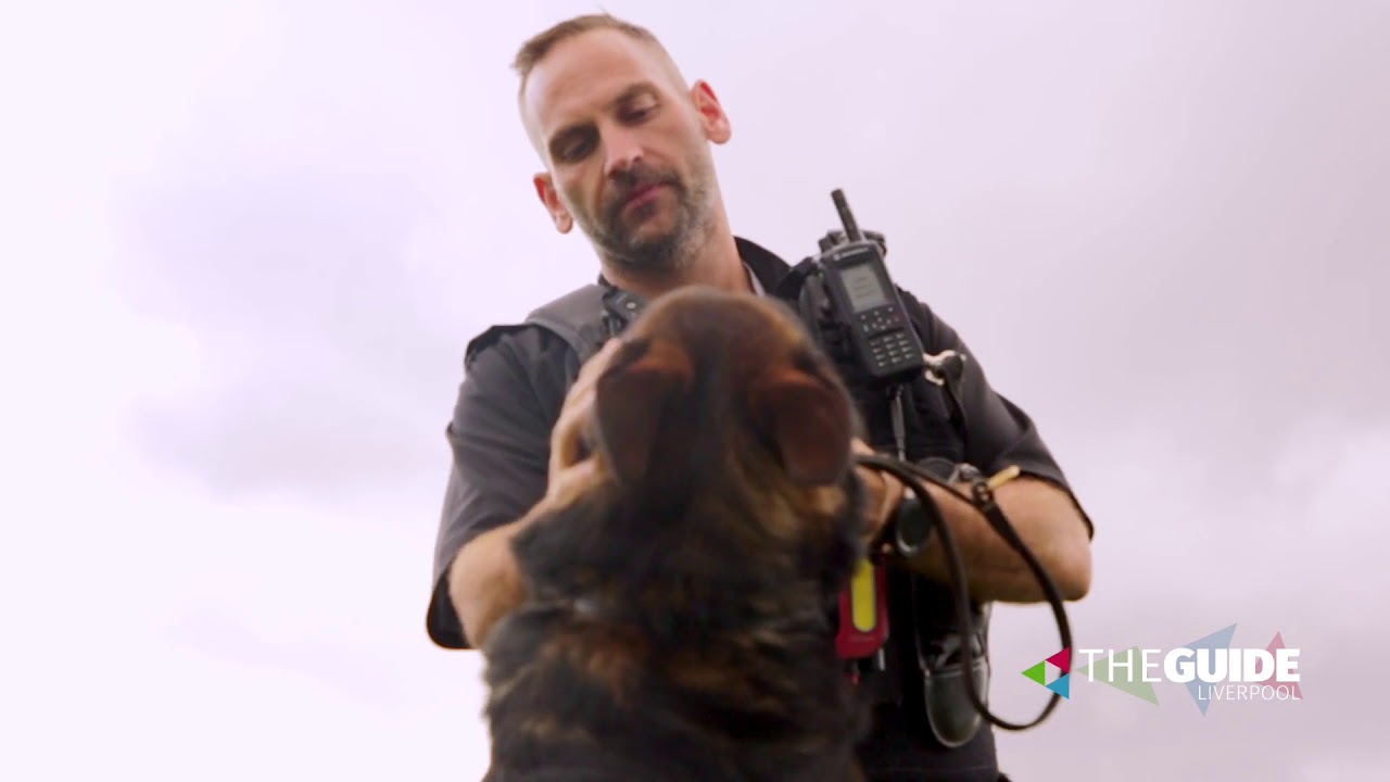 Meet the Merseyside Police Dogs - Part 01 | The Guide Liverpool - YouTube