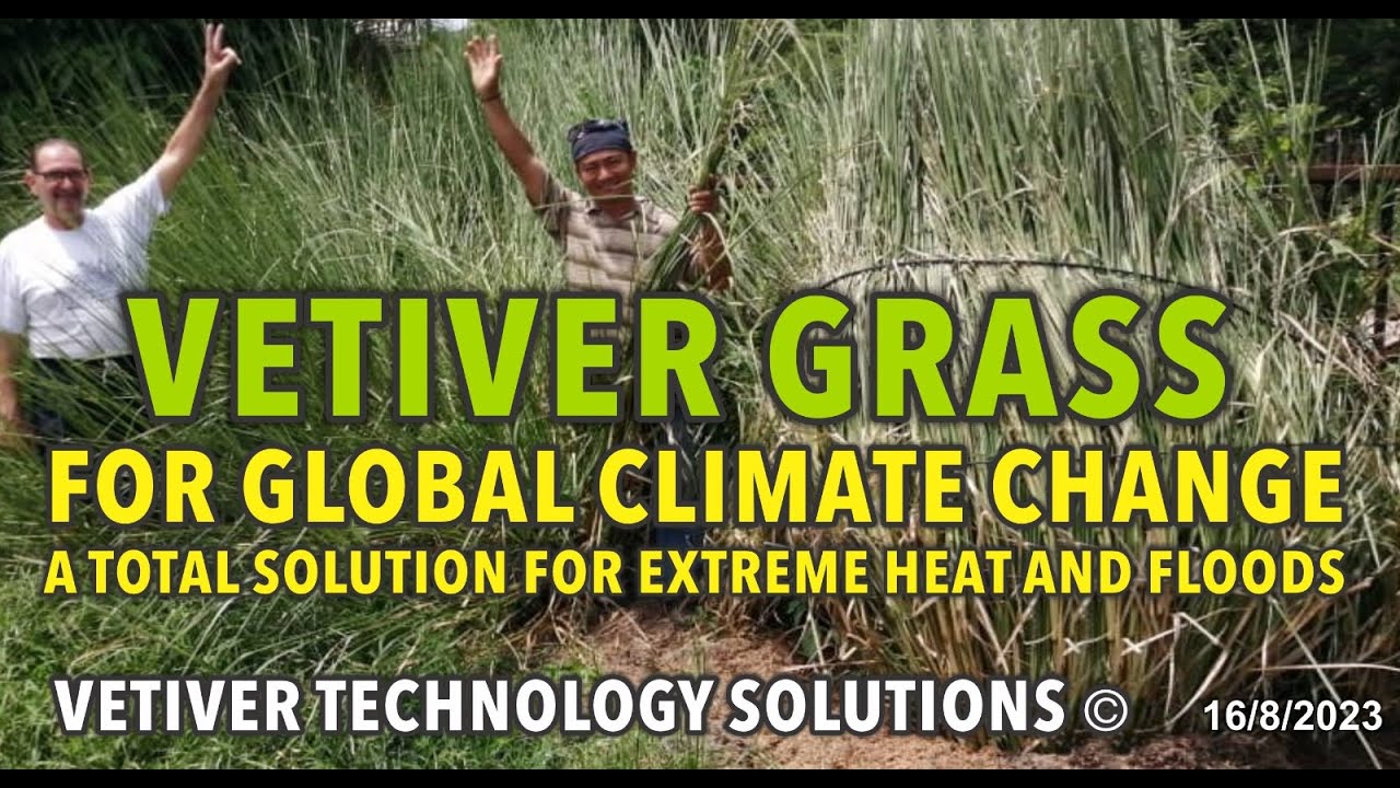 FOOD SECURITY solutions with ANIMAL ORGANIC STOCK FEED WITH SUPERFOOD ...
