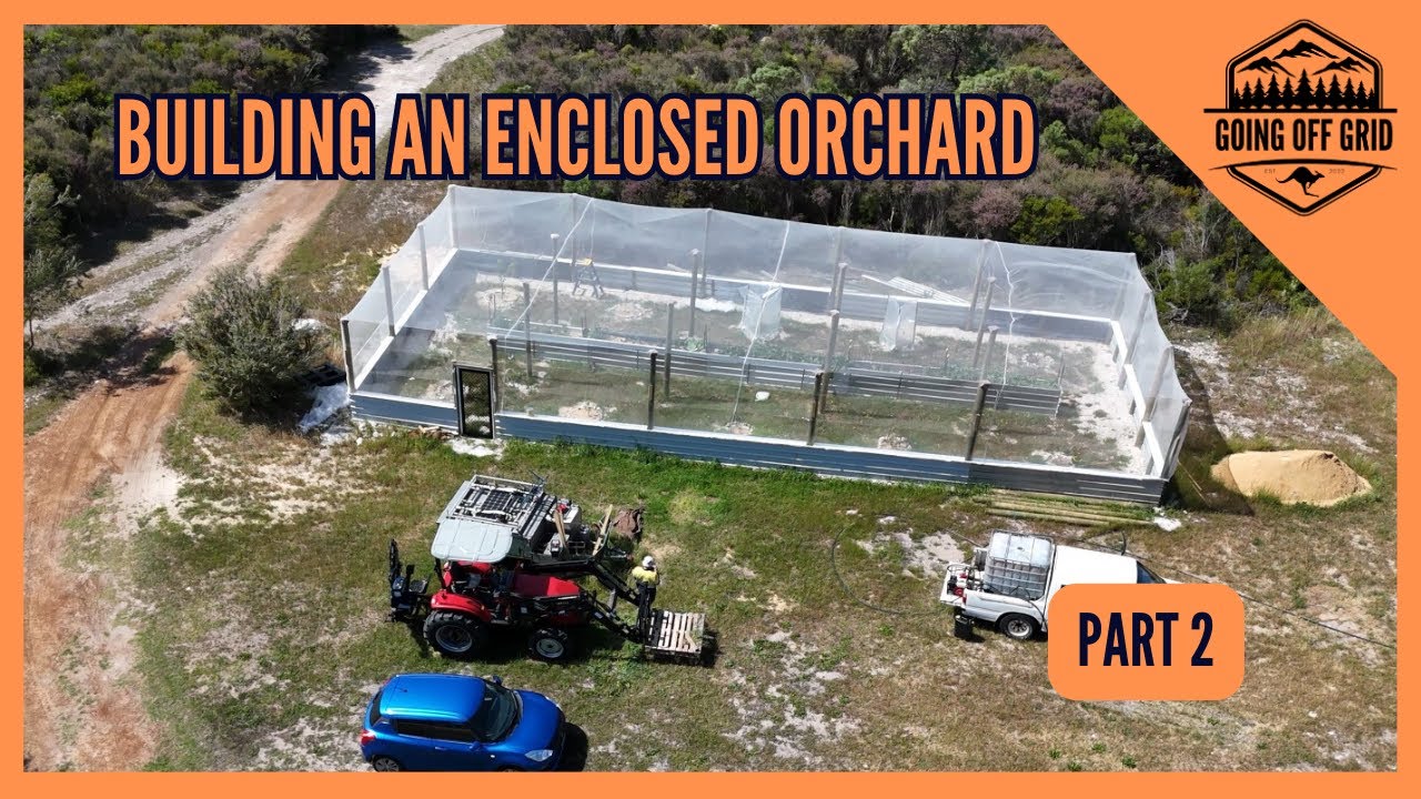 Building An Enclosed Orchard Part 2! #offgridaustralia #goingoffgrid # ...