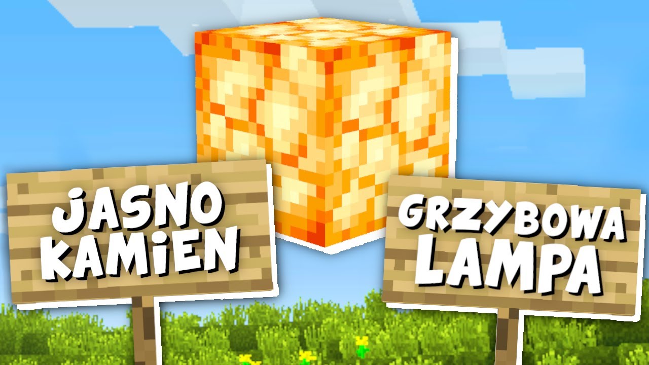 Tylko 1 WidzÓw Zna OdpowiedŹ Na To Pytanie O Minecraft Niemożliwe