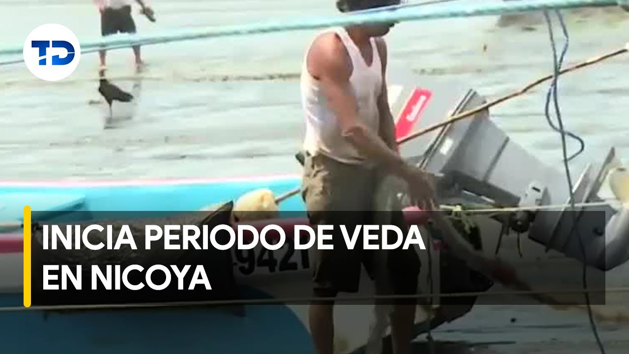 Aplican periodo de veda de pesca en el Golfo de Nicoya - YouTube