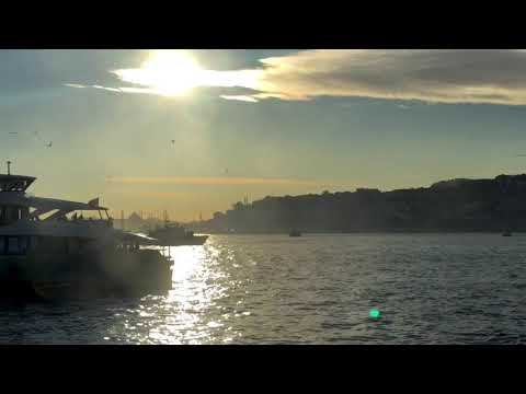 İSTANBUL BOĞAZI RAHATLATICI MANZARA | İZLE RAHATLA RAHATLAT / KUŞLAR İÇİN RAHATLATICI GÖRÜNTÜLER