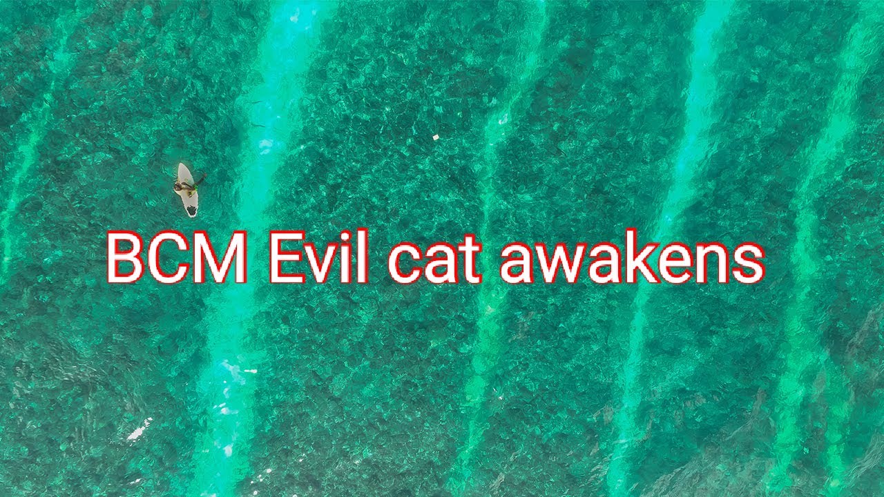 BCM- Evil cat awakens - YouTube