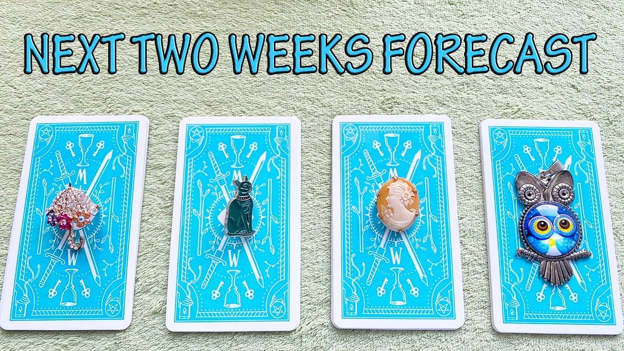 NEXT TWO WEEKS FORECAST. PICK A CARD - YouTube