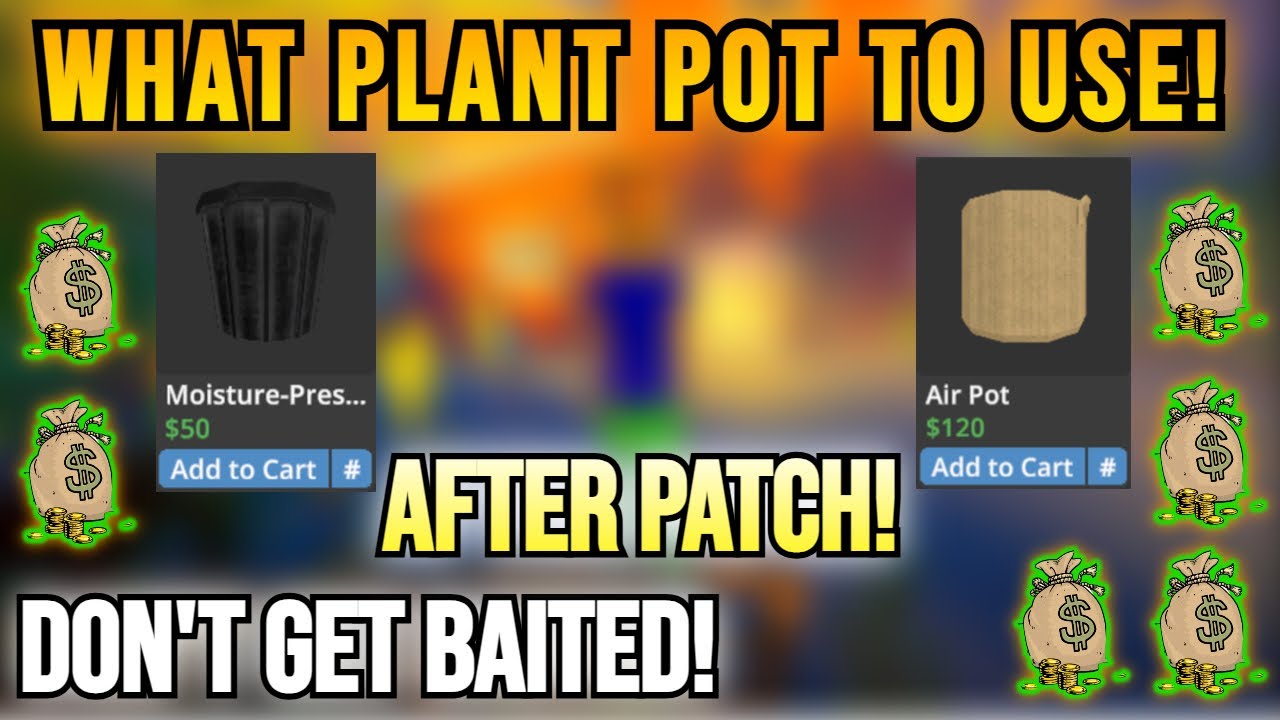 Schedule 1 | Most Efficient PLANT POT For BIG Gains! - YouTube