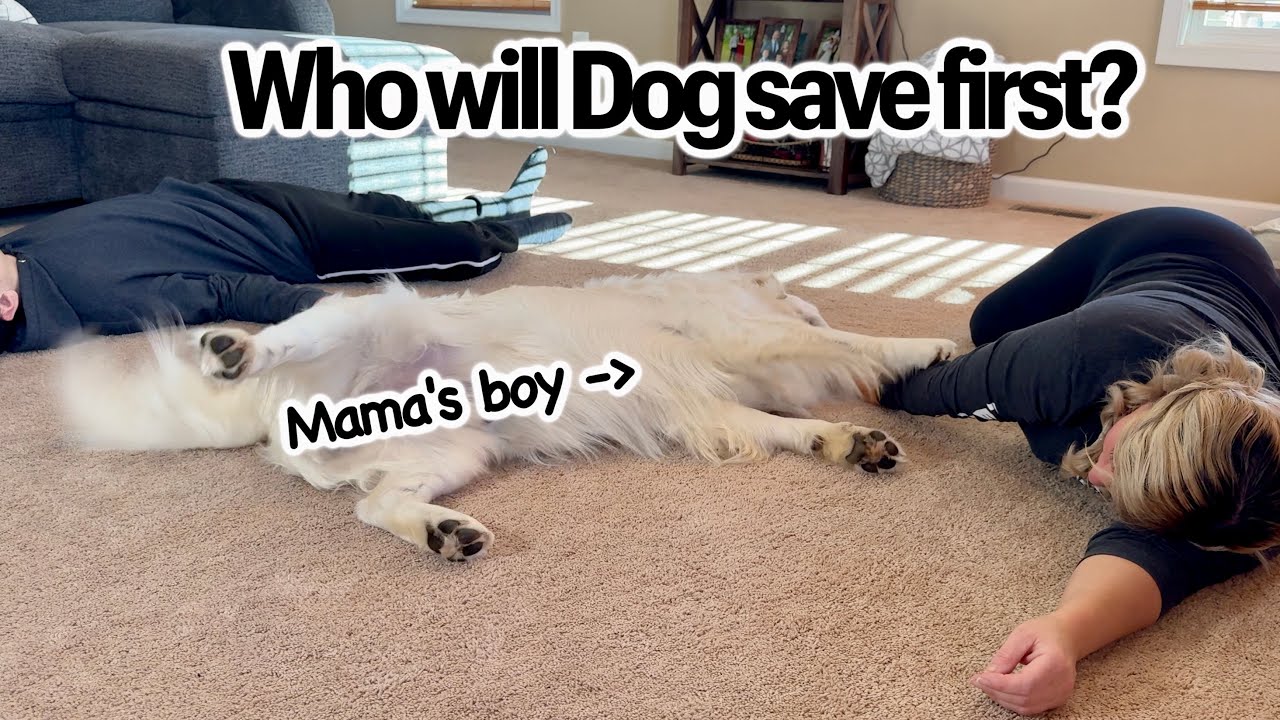 Will Dog Save Mom First? Pretend Faint In Front of Dog - YouTube
