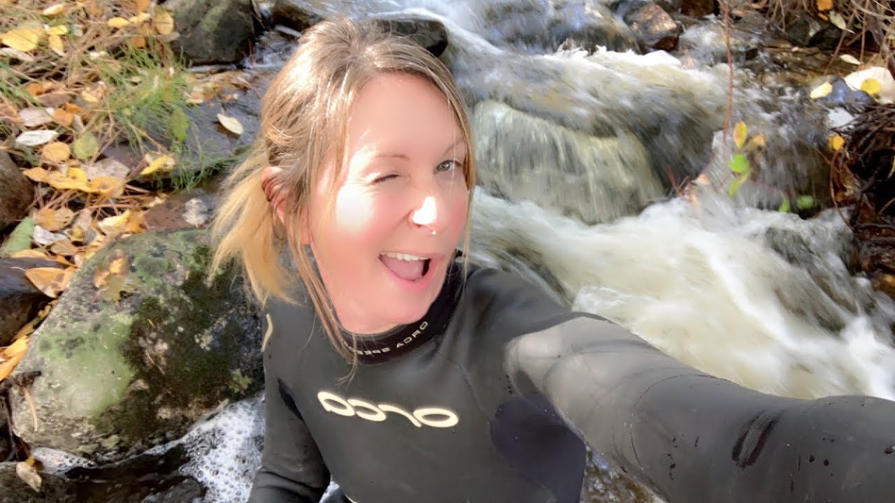 Chasing The Simple Life: Beaver Buffoonery - YouTube