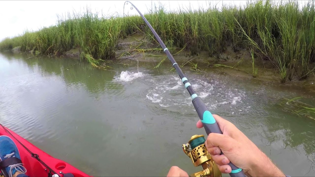 Catching Fish WITHOUT Casting! (Kayak fishing) - YouTube