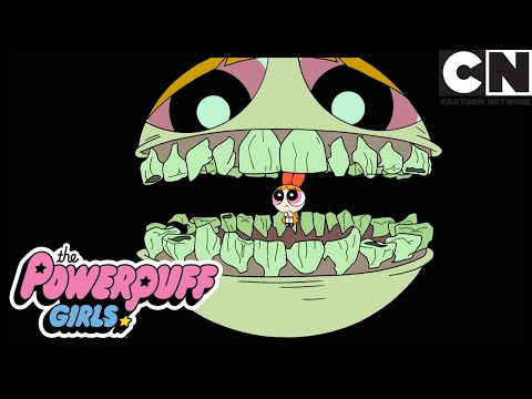 Sonuçlarına Katlanılan Diş | Powerpuff Girls Türkçe | çizgi film | Cartoon Network
