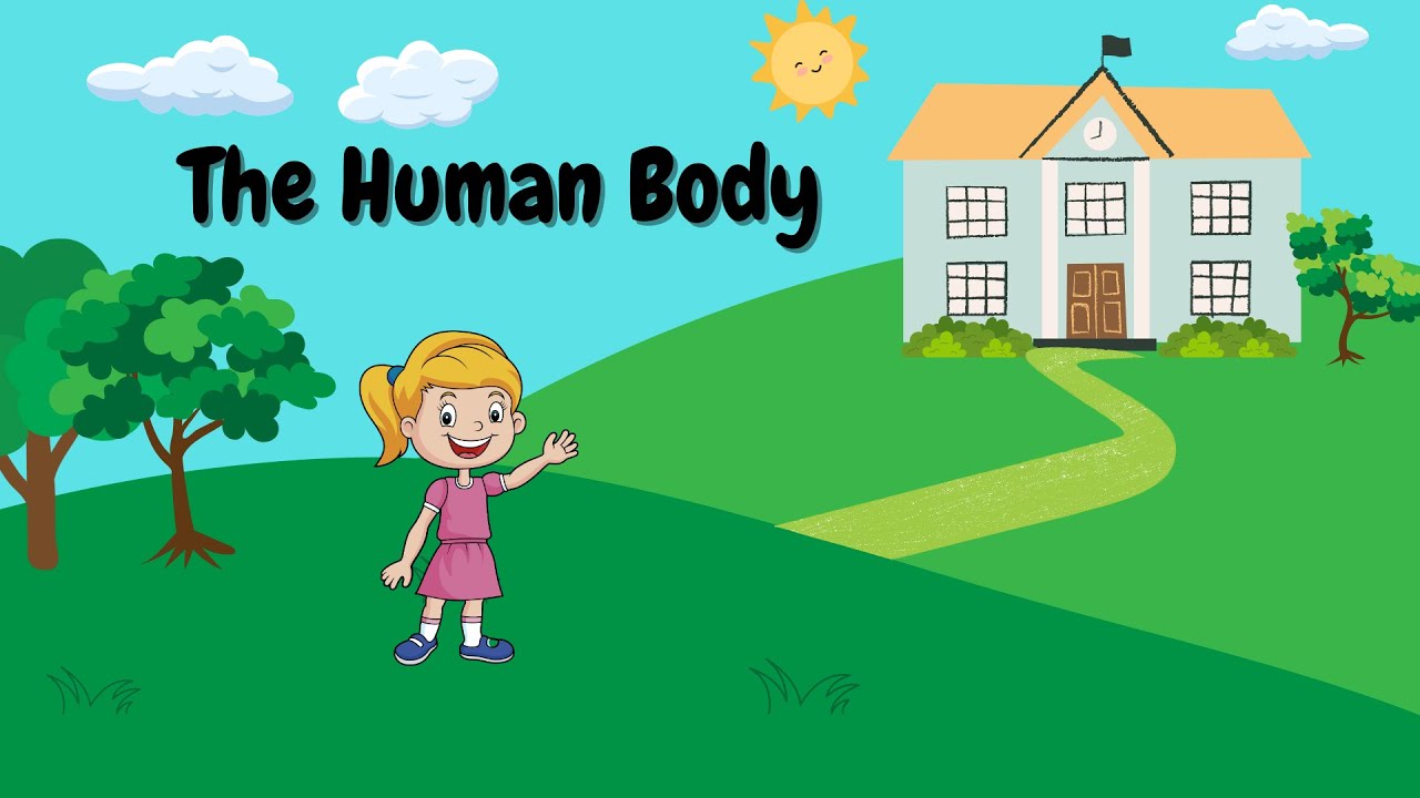 Human Body | Parts of the Body | English | ELL | Children | Pre-K ...