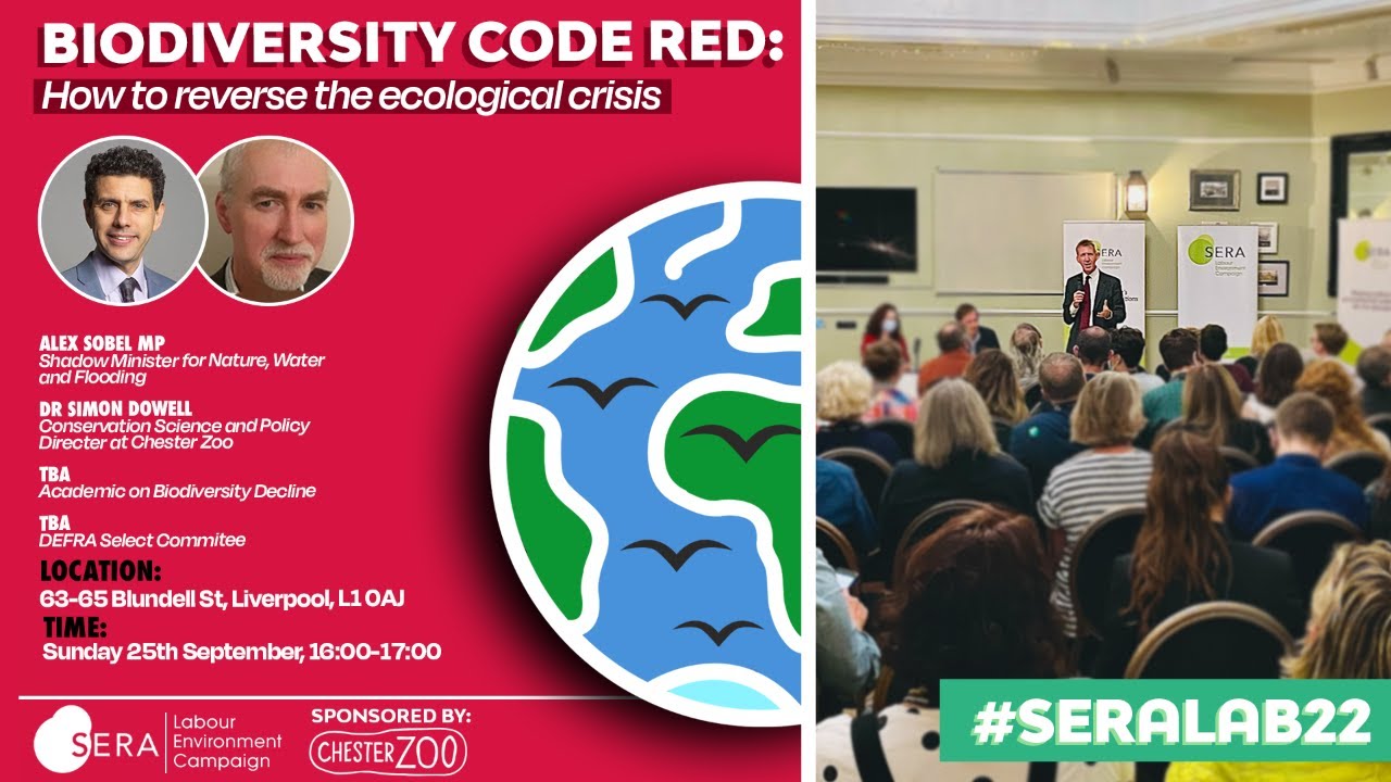 Biodiversity code red: how to reverse the ecological crisis - YouTube