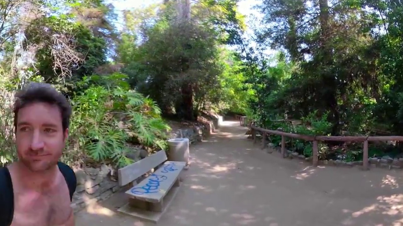 360 video of ferndale trail in griffith park 930am sunday 8-12-18 - YouTube