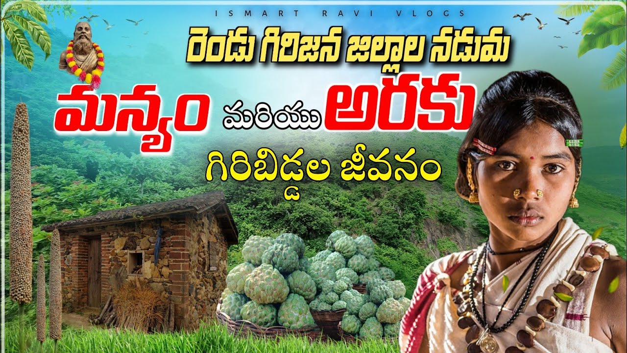 Araku and Manyam district tribal life || indian village culture ...