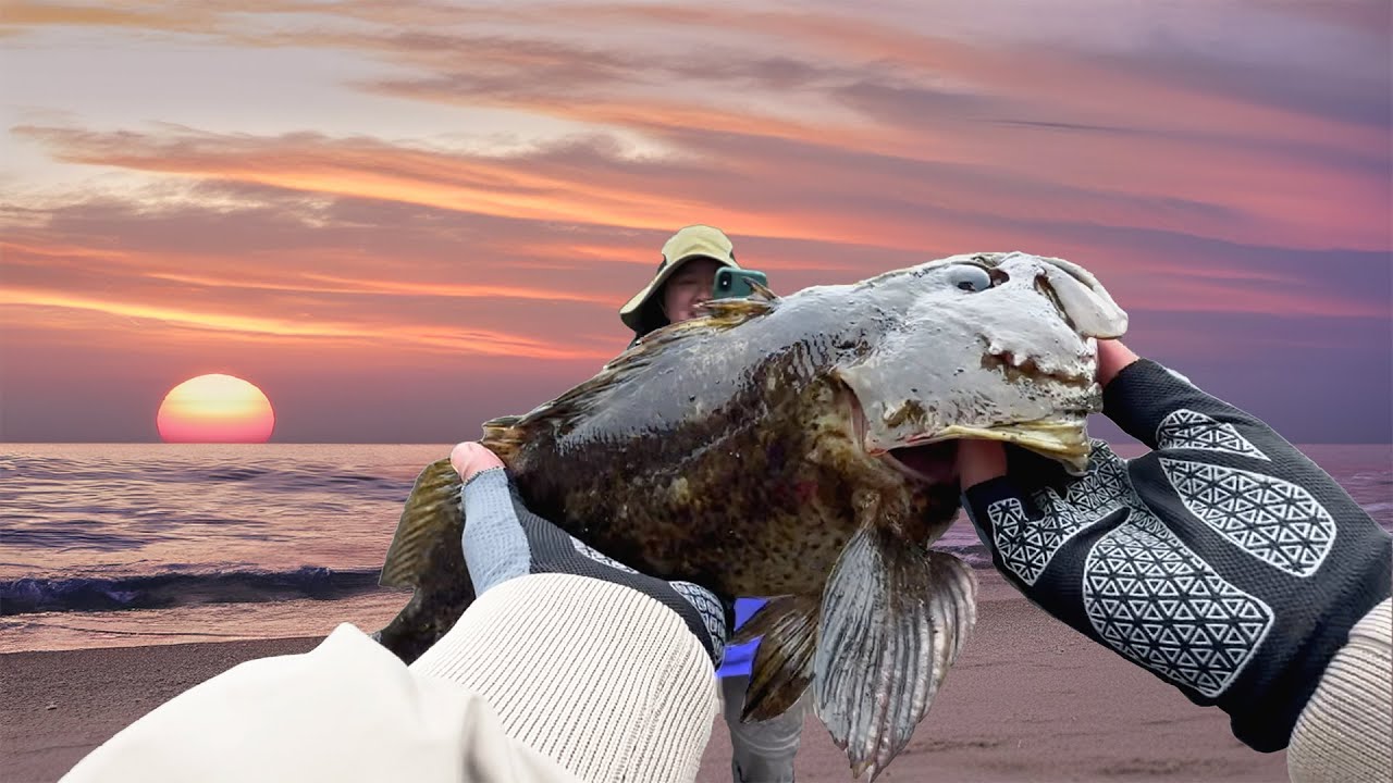 SURF FISHING for MASSIVE Rockfish!! **Catch and Cook** - YouTube