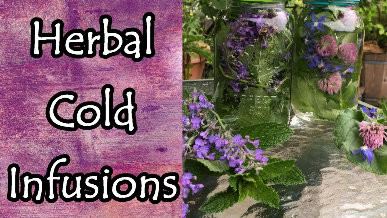 Herbal Cold Infusions for Hot Days - YouTube