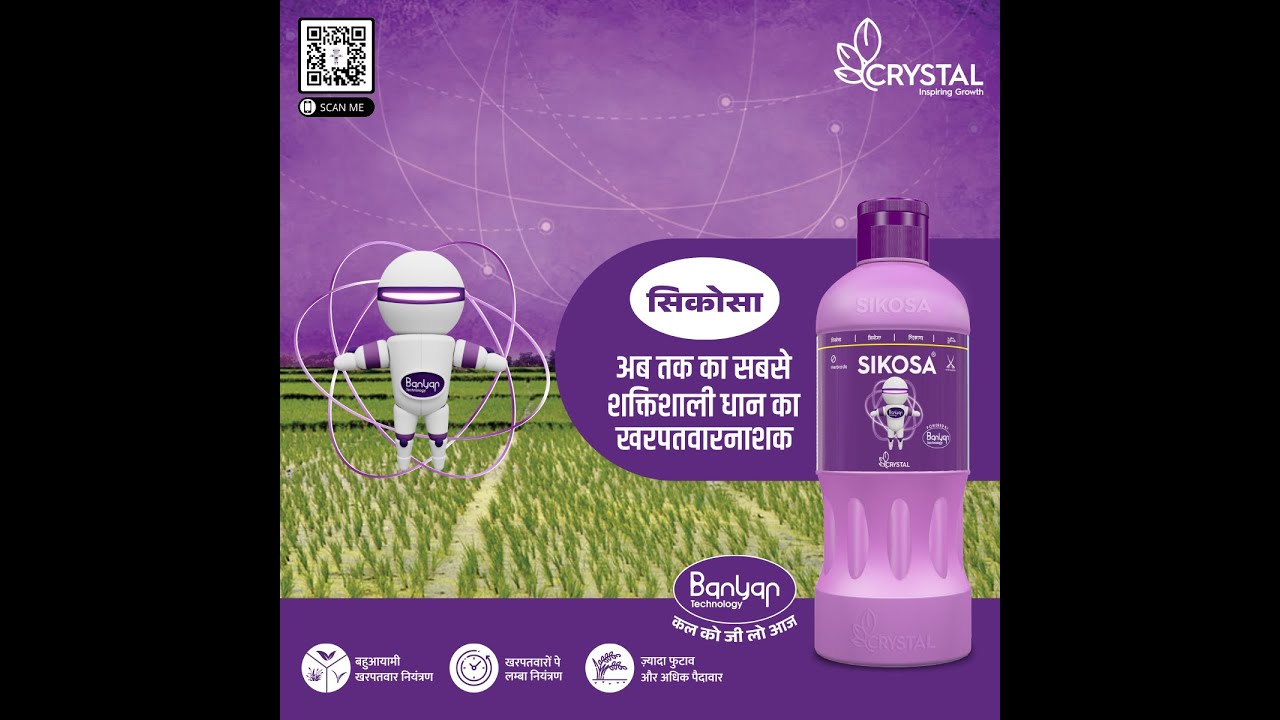 Sikosa - Paddy Herbicide by Crystal Crop - Launch AV - YouTube