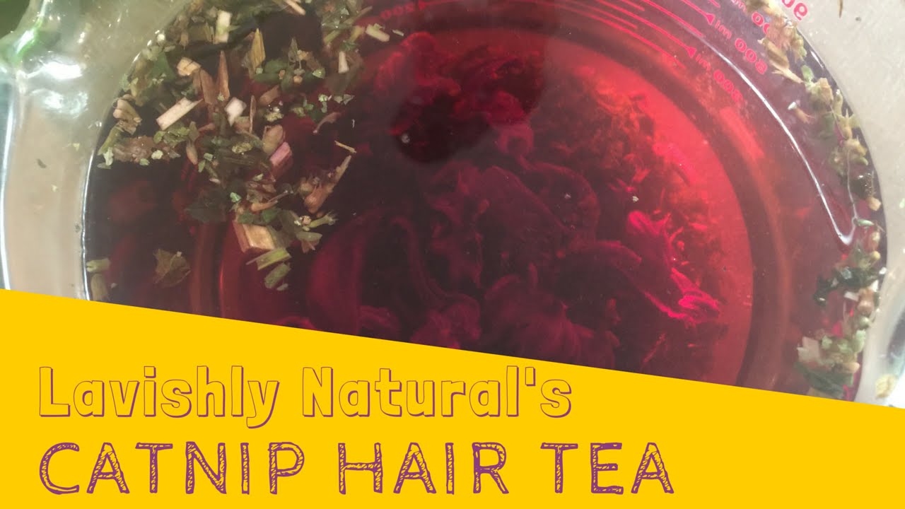 Lavishly Natural's Catnip Hair Tea - YouTube