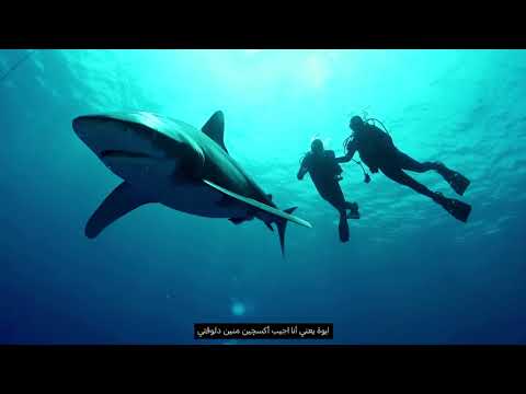 CIB Egypt | CIB Wellsavers Ep. 1 - Scuba Diving by Icon Creations