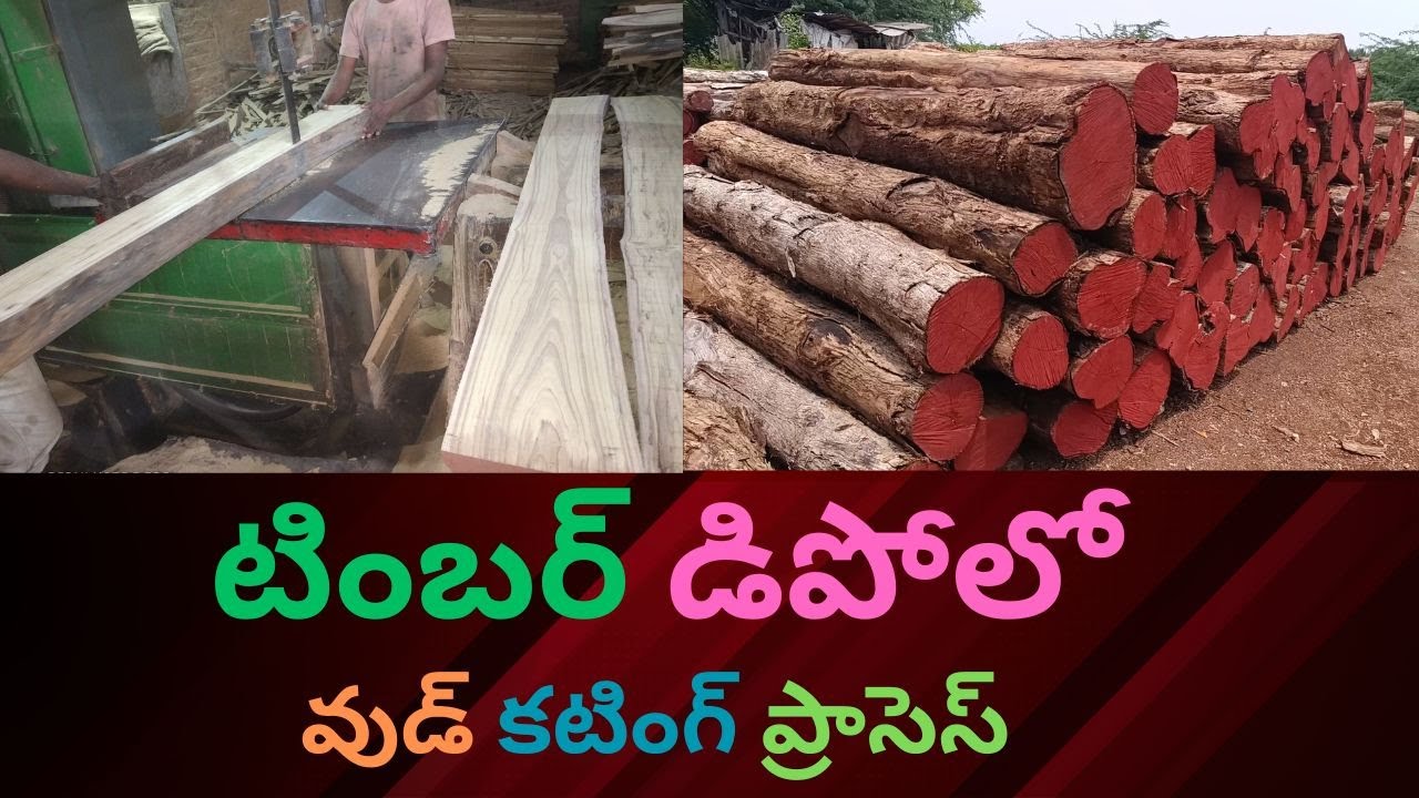 Timber Depo || వుడ్ కటింగ్ ప్రాసెస్ || Chilakaluripet || #woodcutting # ...