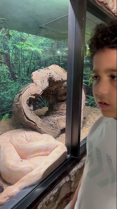 Zman and Mighty Python - YouTube Zman and Mighty Python - YouTube