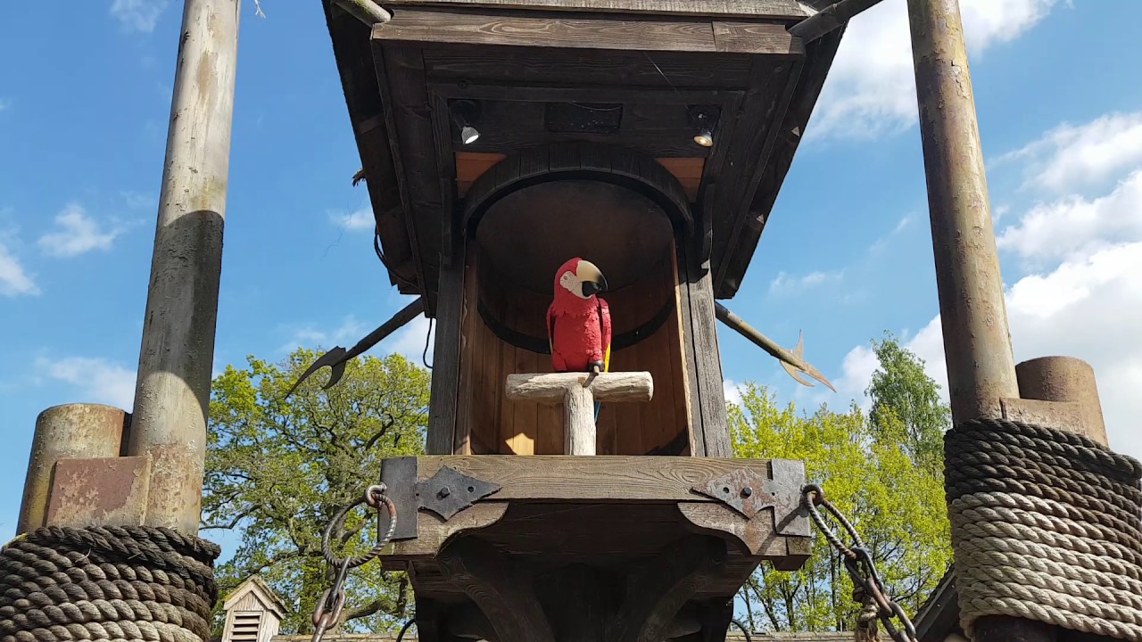 Mutiny Bay Parrot Animatronic - Alton Towers - YouTube