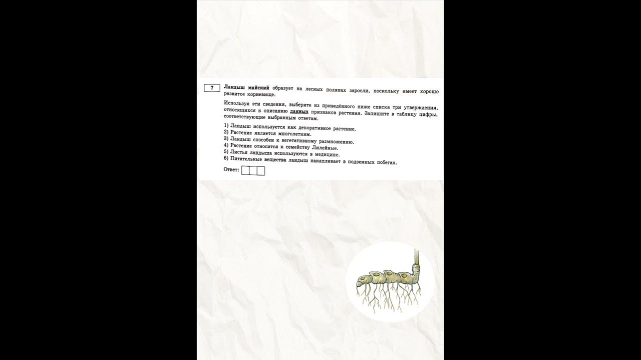 Как решать задание 7 ОГЭ по биологии / Рохлов 2024 года - YouTube