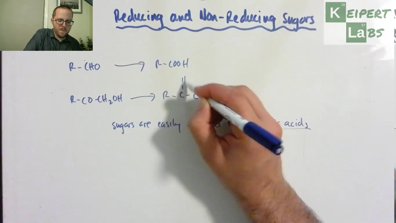 Reducing and Non-Reducing Sugars - YouTube