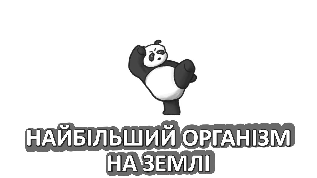 Найбільший організм на Землі [MinuteEarth] - YouTube