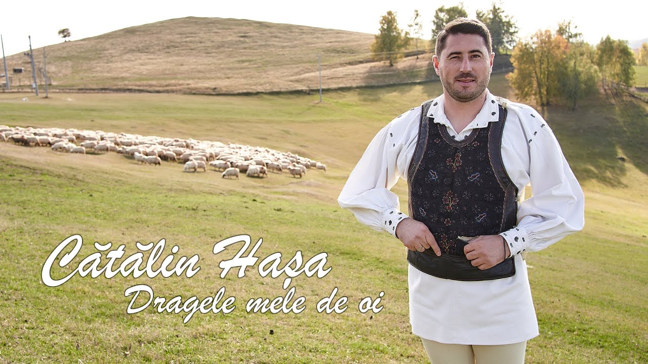 Cătălin Hașa || Dragele mele de oi || NEW 2024 - YouTube