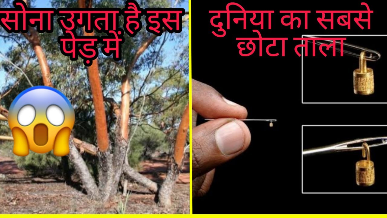 दुनिया का सबसे छोटा ताला | worlds most smallest lock | Amazing #14 ...