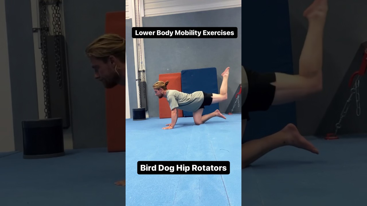 Lower Body Mobility Exercises - YouTube