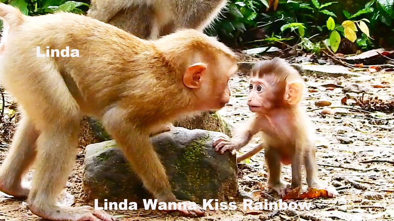 Wow marvelous clip! Cute orphan Linda come to kiss adorable baby ...