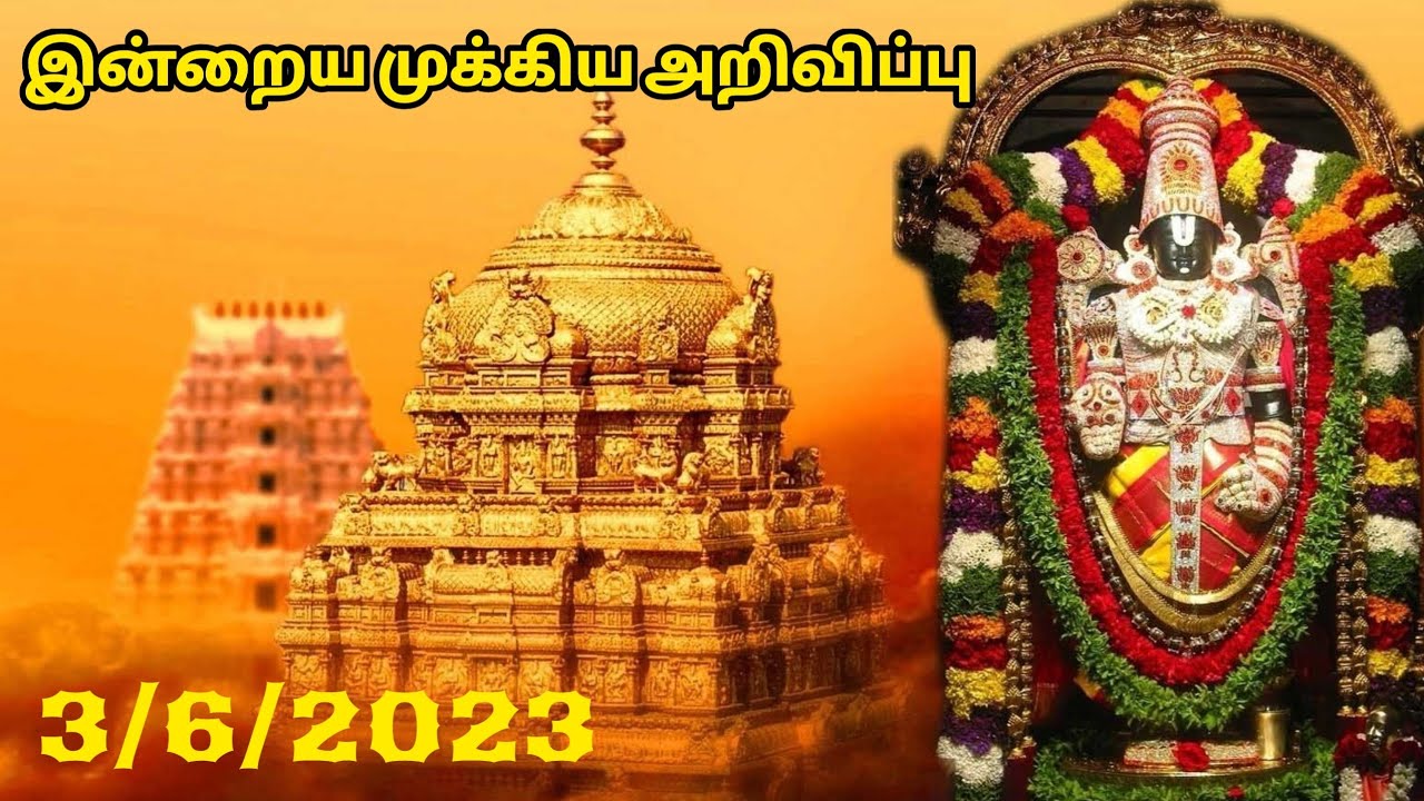 TTD Today Update || Tirumala Tirupathi News | Tamil To Viewers - YouTube