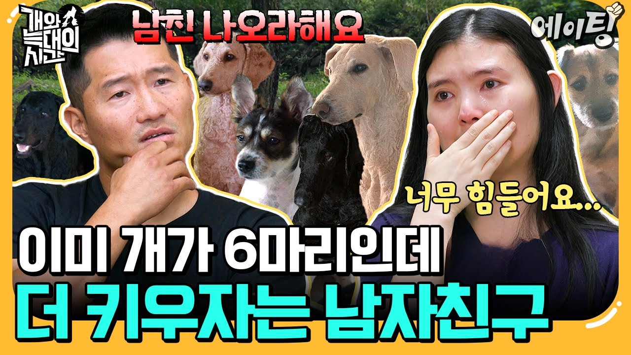[#에이팅] 개 6마리 데려와놓고 나 몰라라 하는 남자친구 근데 또 데려오자고?! 강형욱 역대급 분노한 사연 | #개와늑대의시간 ...