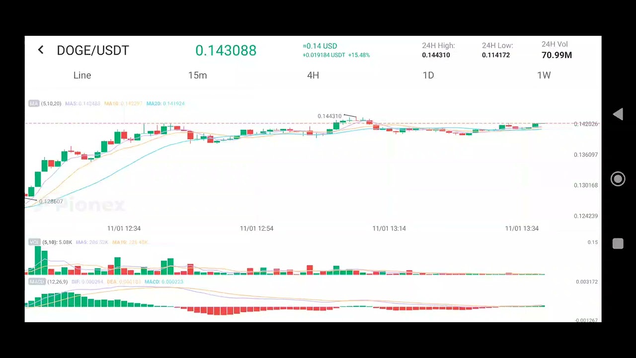 DOGE USDT candle sticks preview in pionex went up by 15.40% at $0. ...