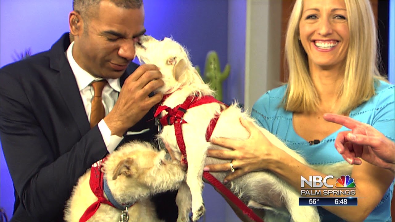 Richard Waxman visits NBC Palm Springs - YouTube